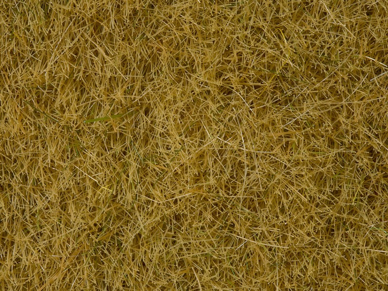 NO07101 Tráva divoká béžová | Posypy Noch | Posypy | Všechna měřítka ...